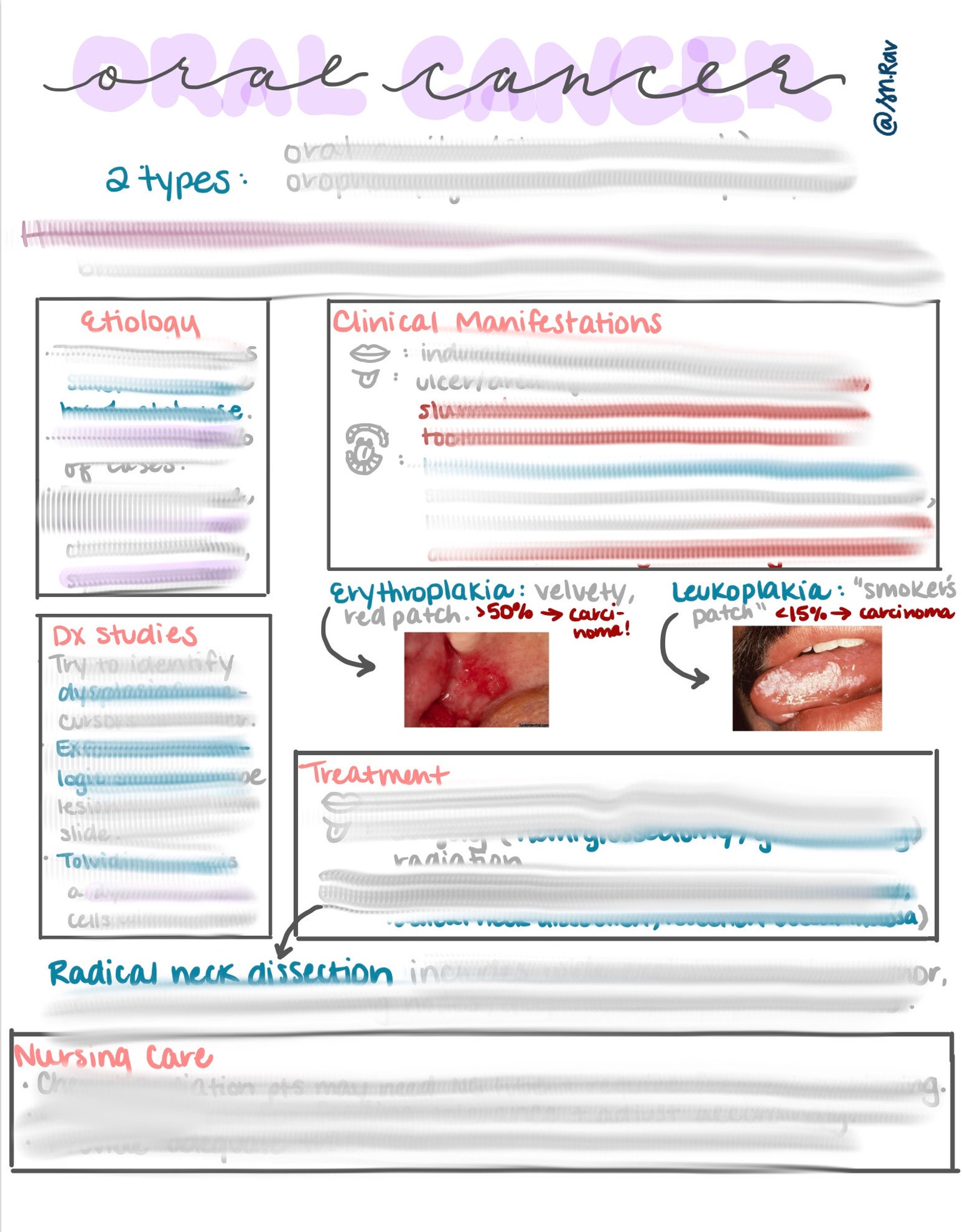 GI / GU Nursing School Notes - Etsy