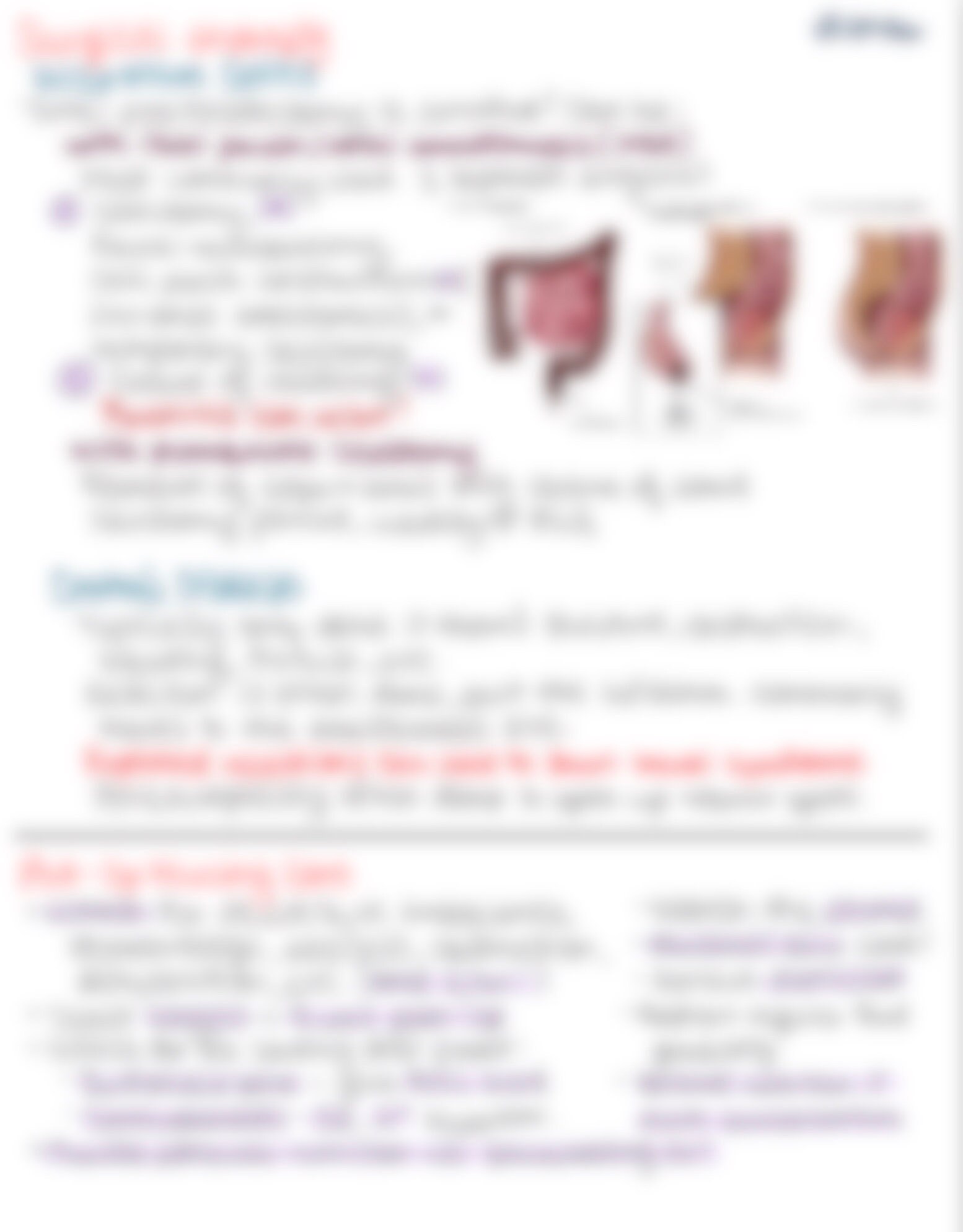 GI / GU Nursing School Notes - Etsy