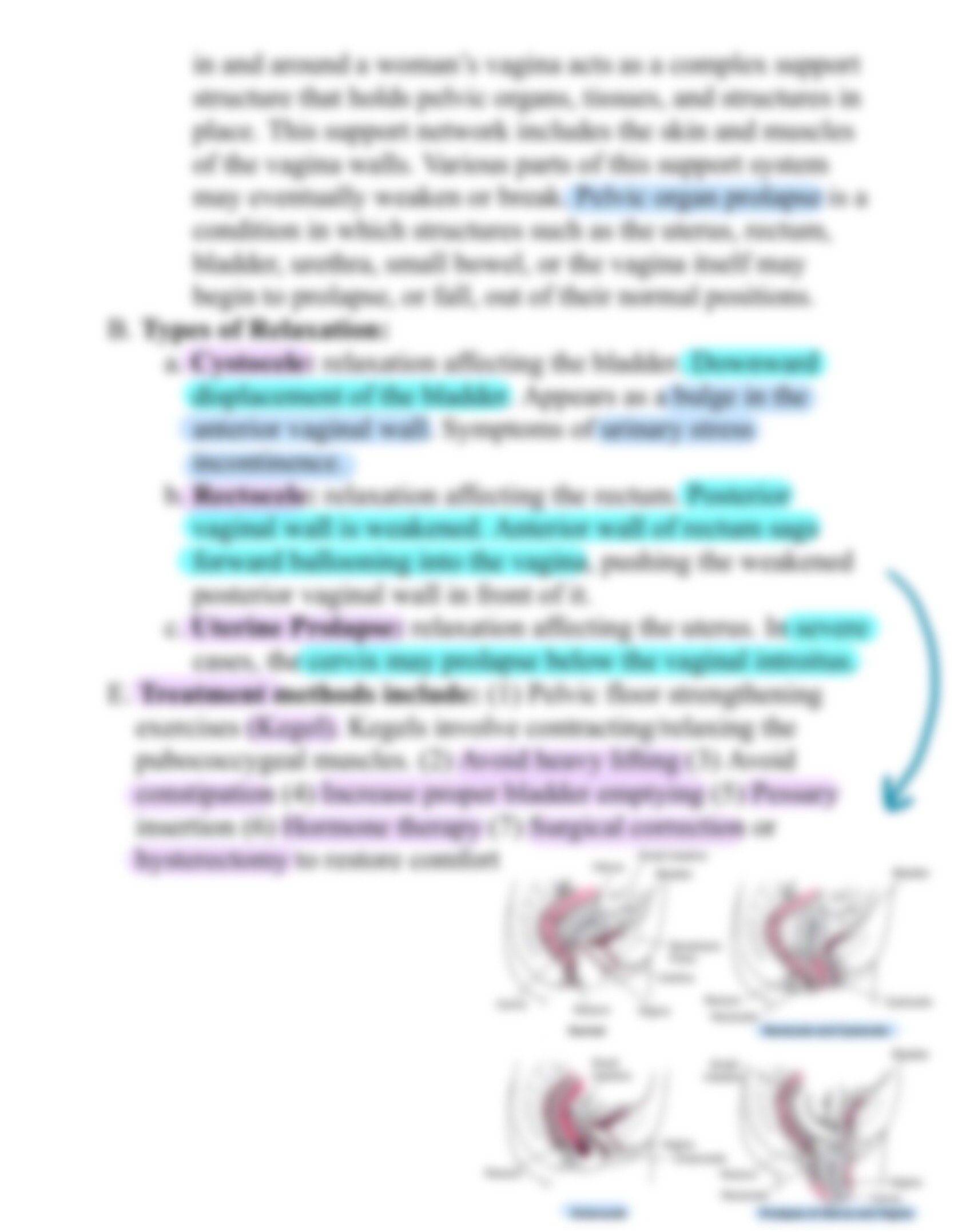 OB / GYN Nursing School Notes (Download Now) - Etsy