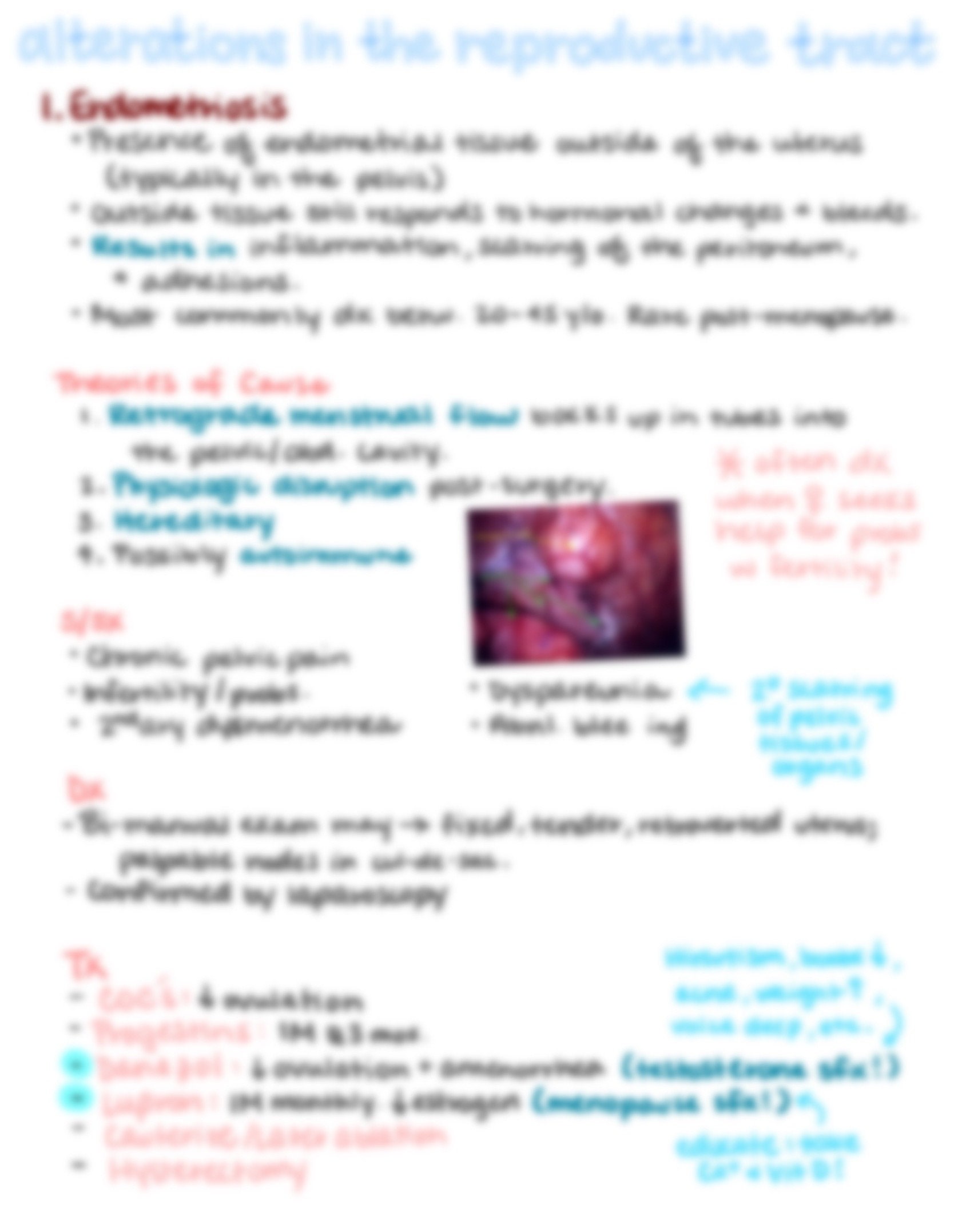 OB / GYN Nursing School Notes (Download Now) - Etsy