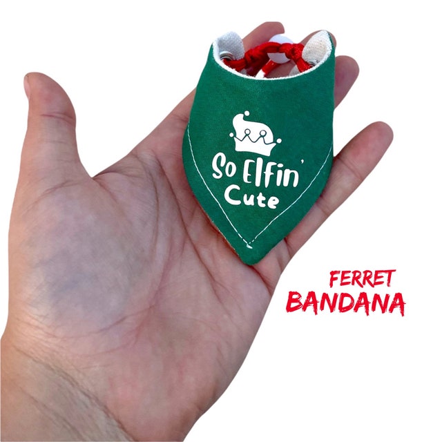 ElloMelloFerretShop - Etsy