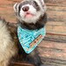 Sea Breeze Ferret Bandana Ferret Scarf Ferret Accessories Clothes for ...