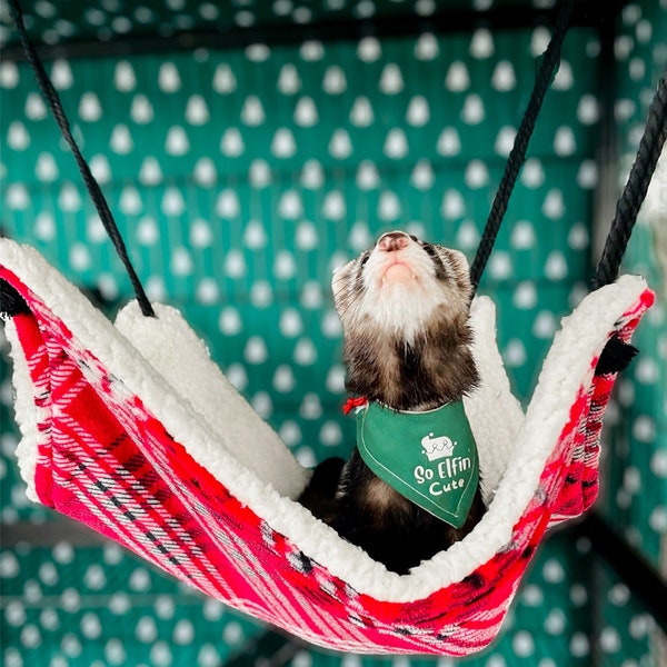 Ferret Bedding - Etsy