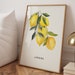 Lemons Watercolor Kitchen Art Print: Minimalist Cooking Poster - Etsy