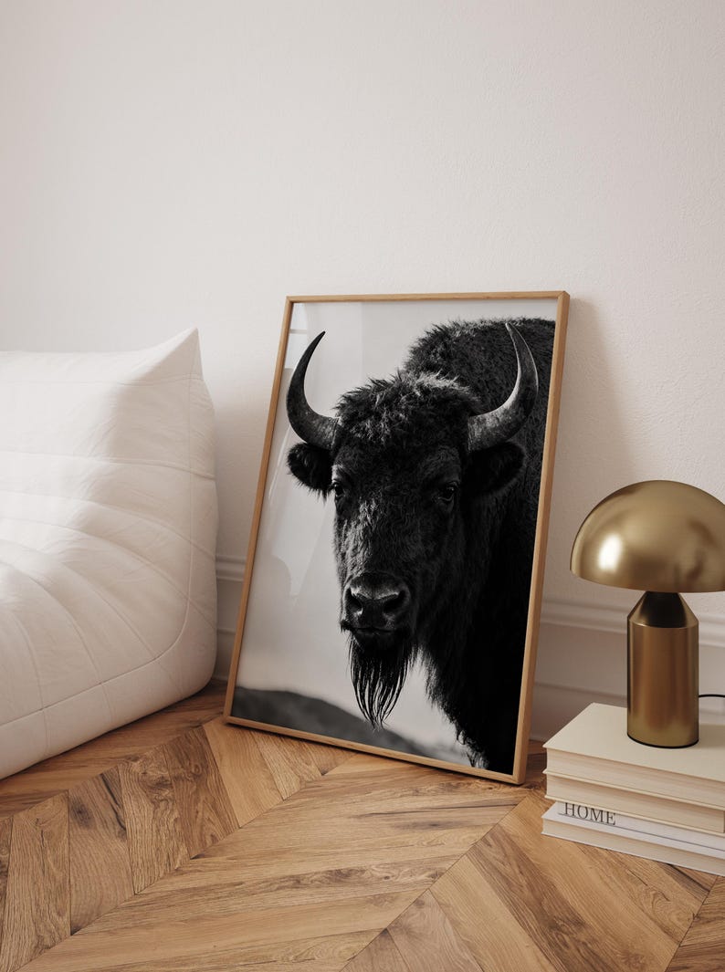 Bison Wall Art Black White Wildlife Photography Print, Buffalo Print - Etsy