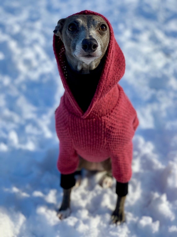 Italian Greyhound NOOD: Chunky Sweater Hoodie-made to Order - Etsy