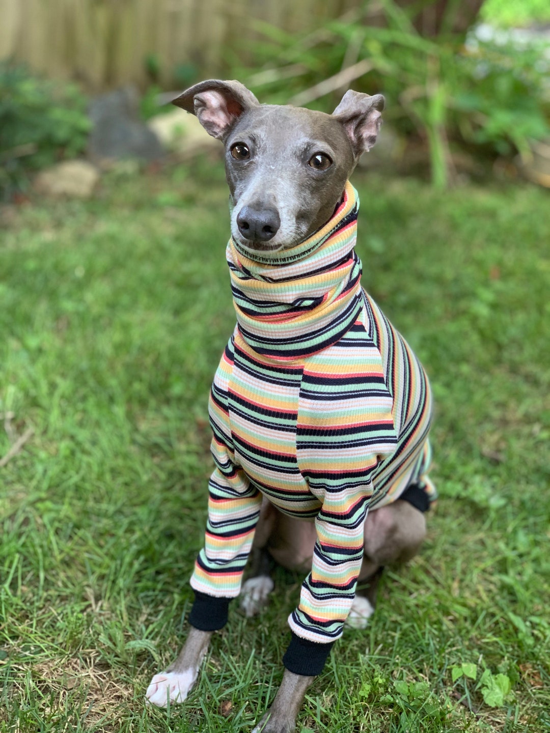 Italian Greyhound NOOD: Stripe Rib Turtle Made to Order - Etsy