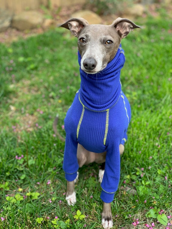 Italian Greyhound NOOD: Pop Stitch Rib Turtle-made to Order - Etsy