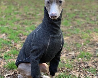 Italian Greyhound NOOD: Classic Cozy Turtle Made to Order - Etsy