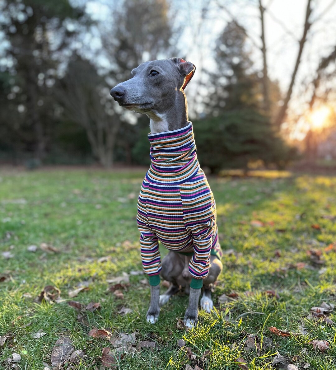 Italian Greyhound NOOD: Stripe Rib Turtle- Made to Order - Etsy