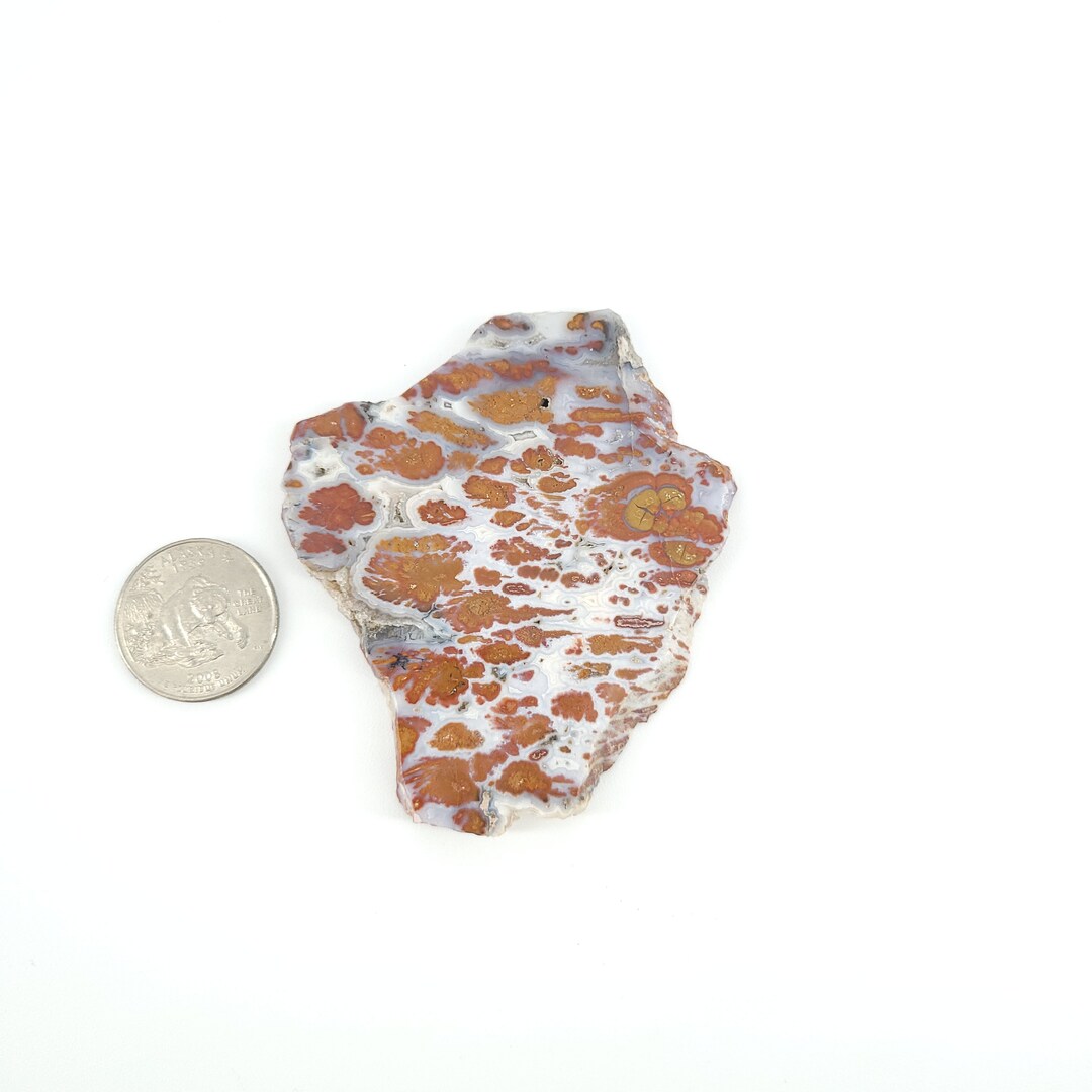 Wingate Pass Agate Slab - Etsy