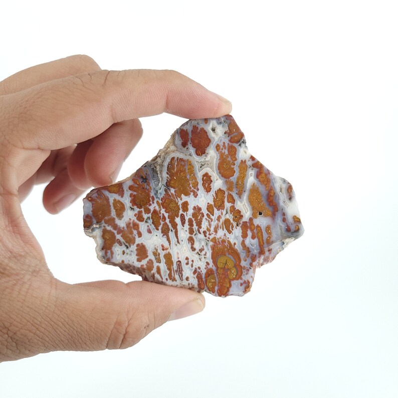 Wingate Pass Agate Slab - Etsy