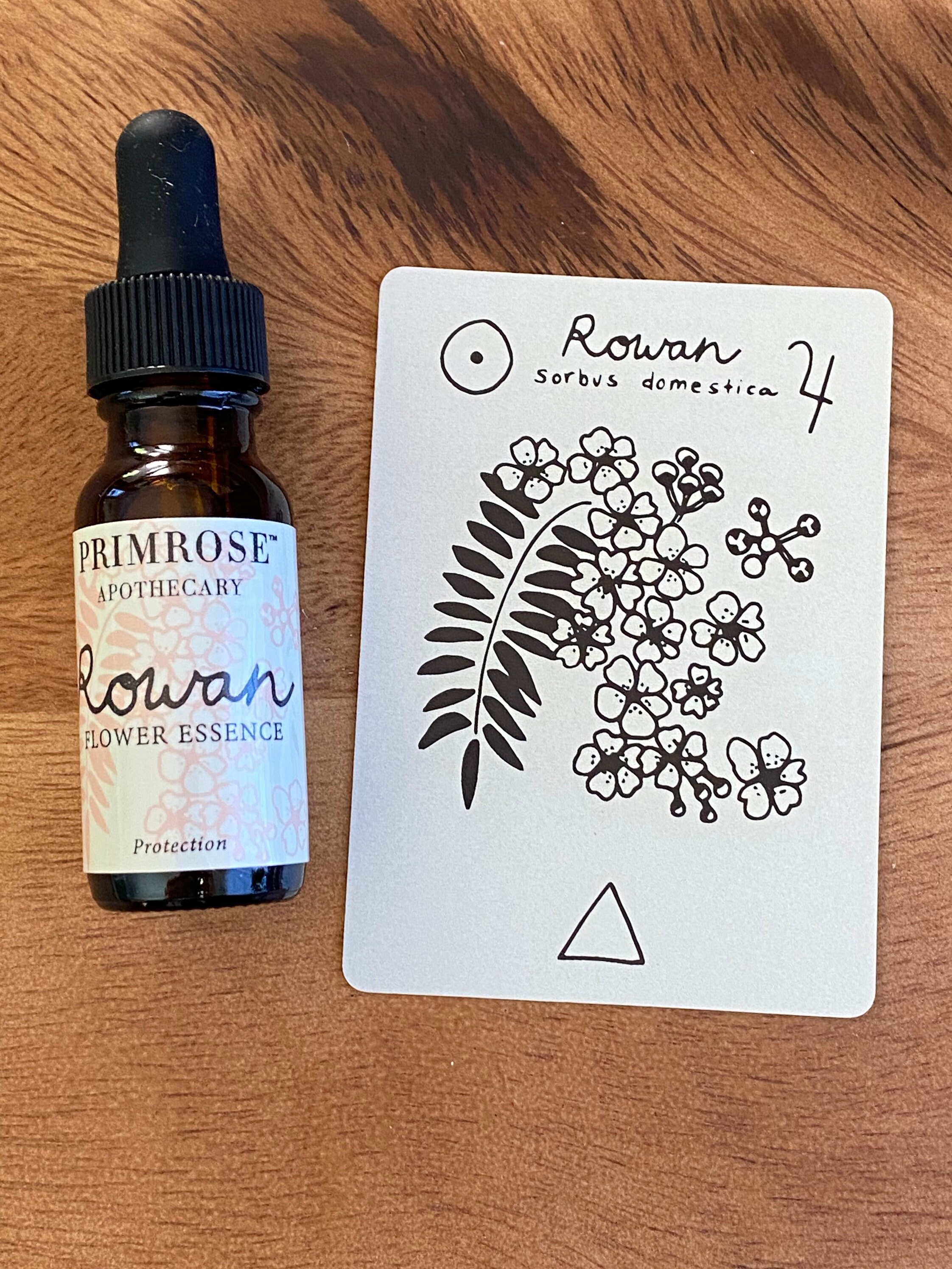 Rowan Flower Essence - Etsy