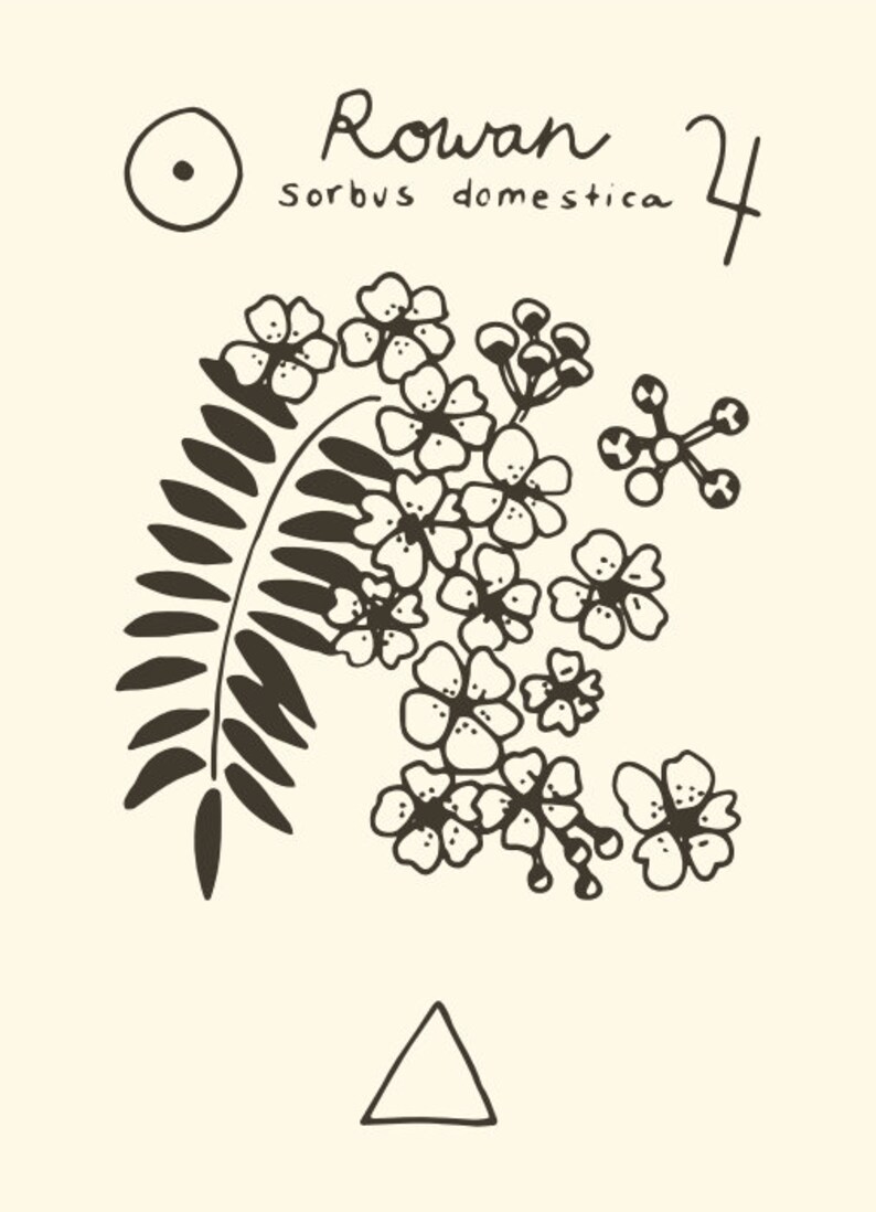 Rowan Flower Essence - Etsy