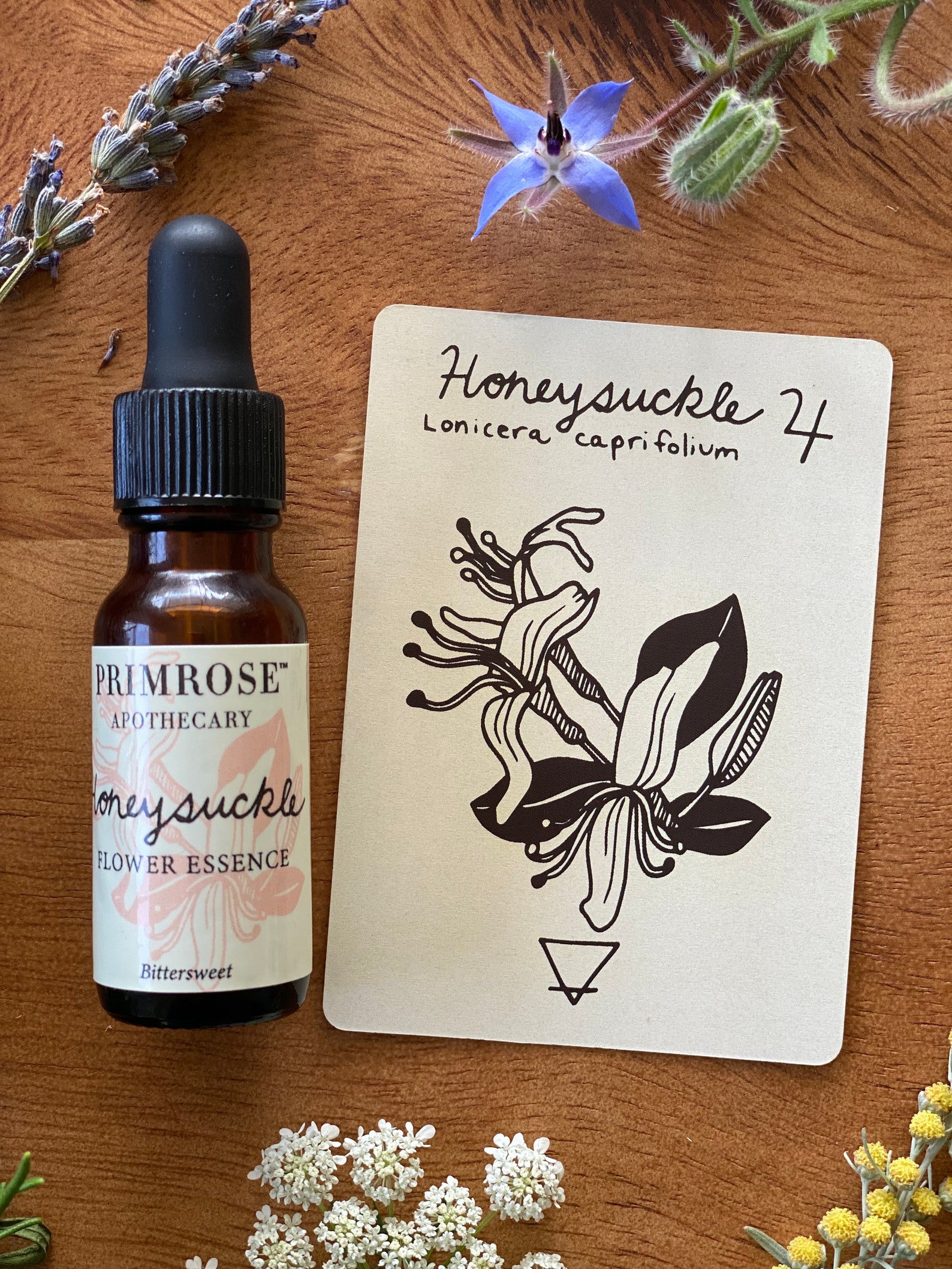 Honeysuckle Flower Essence - Etsy