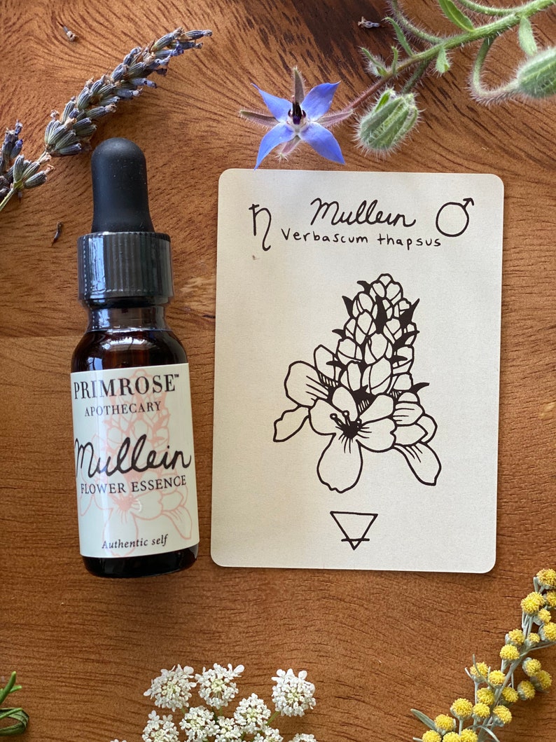Mullein Flower Essence - Etsy