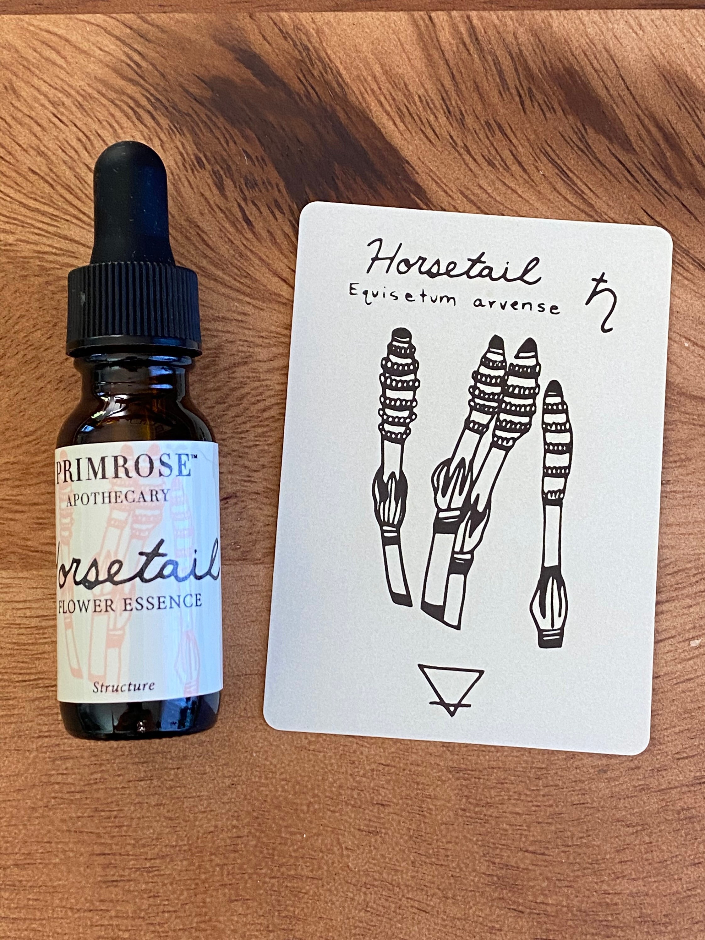 Estructura Esencia de flor de cola de caballo - Etsy España