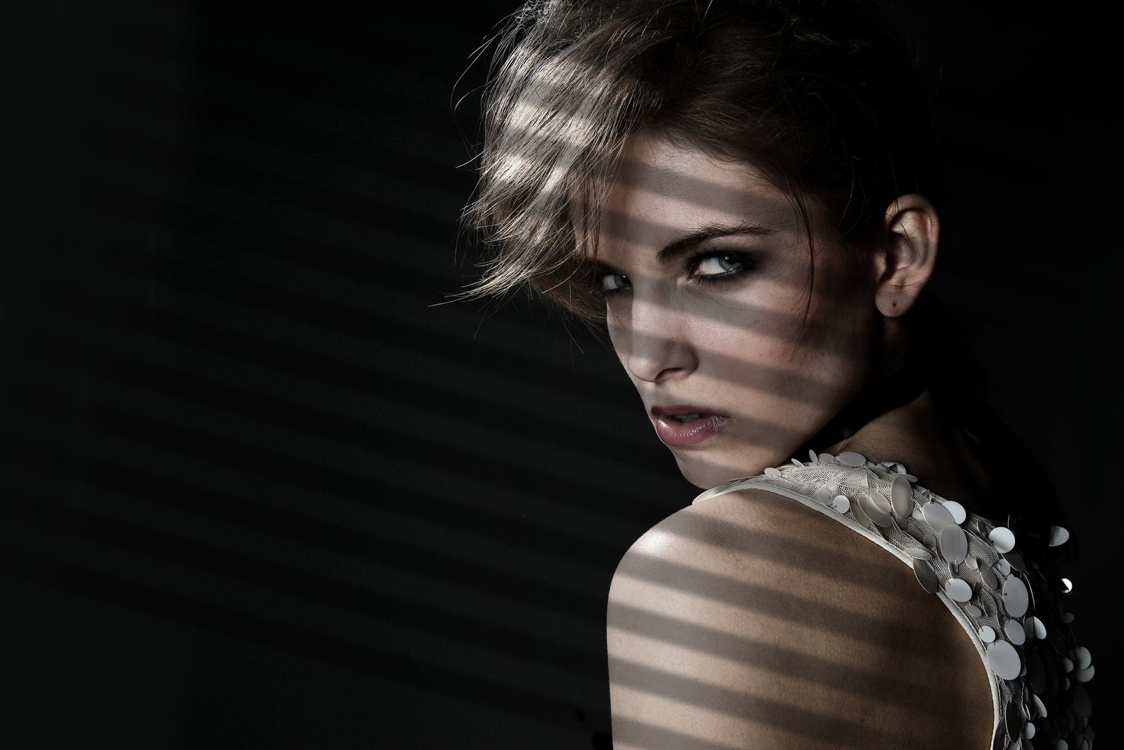 Real Shadow Overlays Organic Shadow Overlays Windows Shadow | Etsy