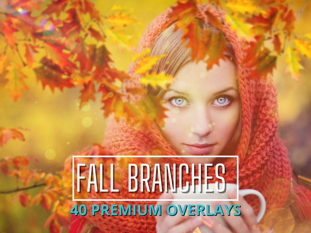 40 Autumn Tree Branch Overlays, Fall Red and Yellow Leaves, Maple and ...