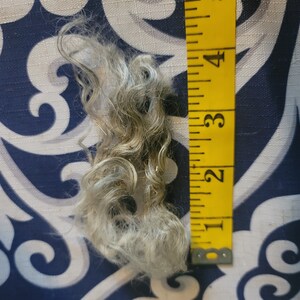 Raw Wool Lincoln Longwools Natural Colored - Etsy