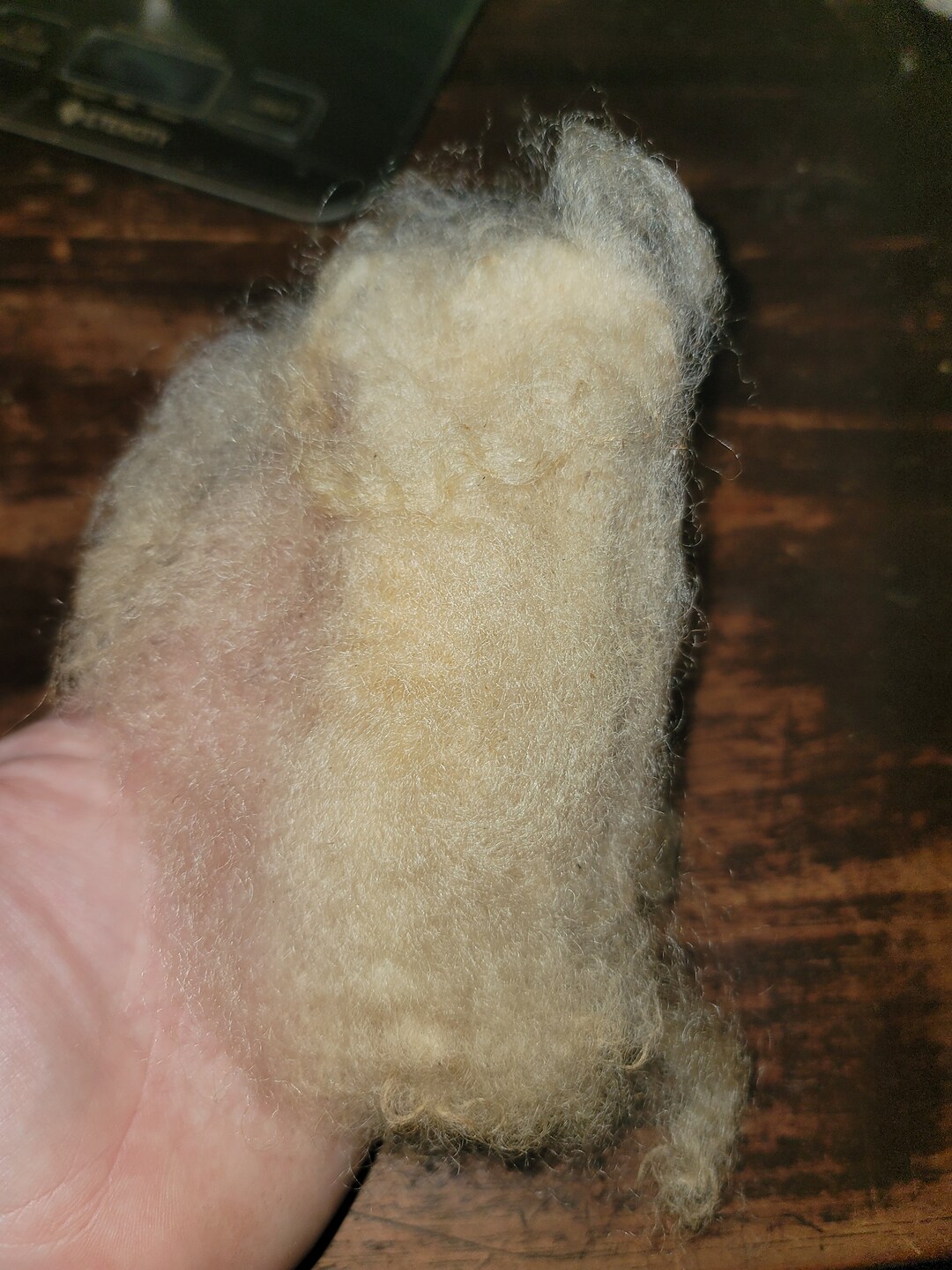 Romney Ewe Fleece Raw Wool White - Etsy
