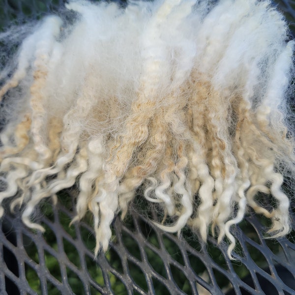 Leicester Locks - Etsy