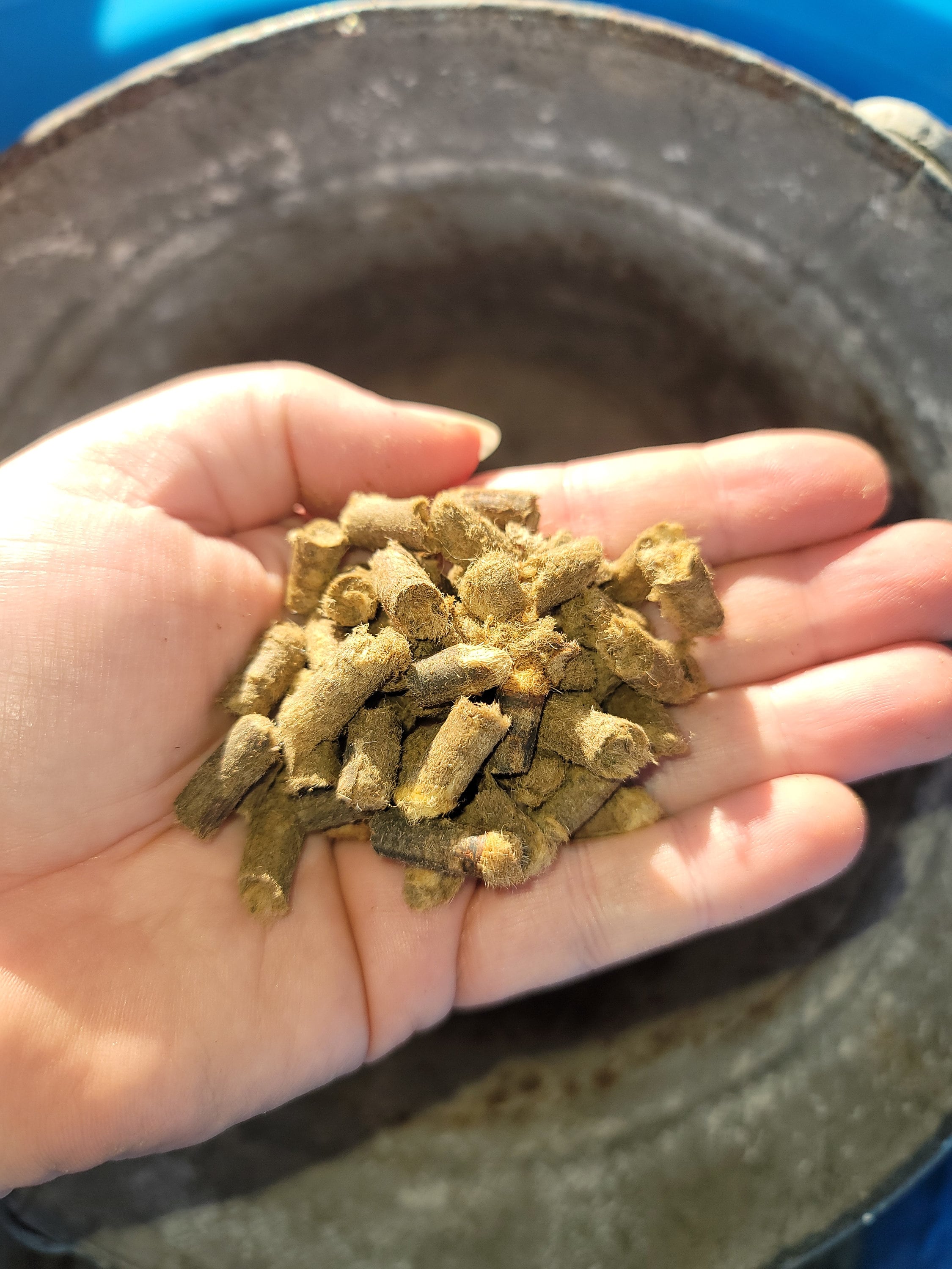 Wool Fertilizer Pellets 1 Pound Bag - Etsy