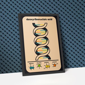 DNA Pop Art 12 X 18 Inch Poster - Etsy