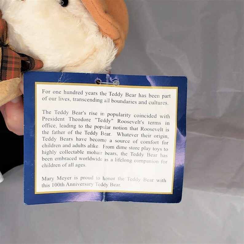 100th Anniversary Teddy Bear by Mary Meyer With Original Tag - Etsy