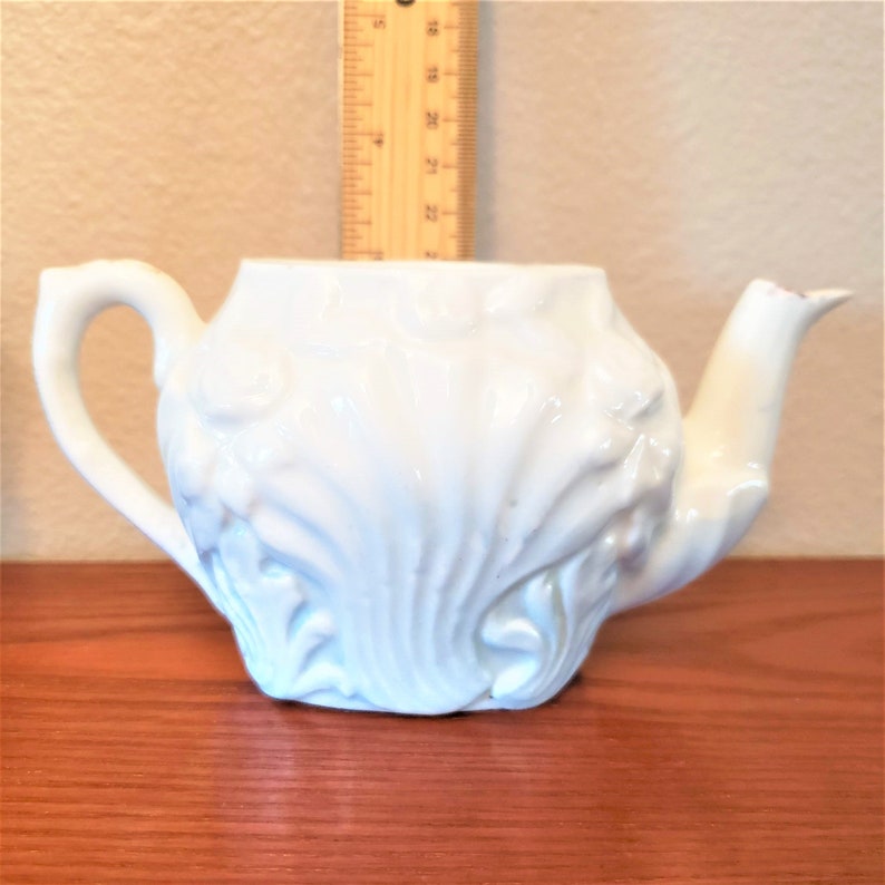 Small Sea Shell Shaped Tea Pot Unmarked - Etsy