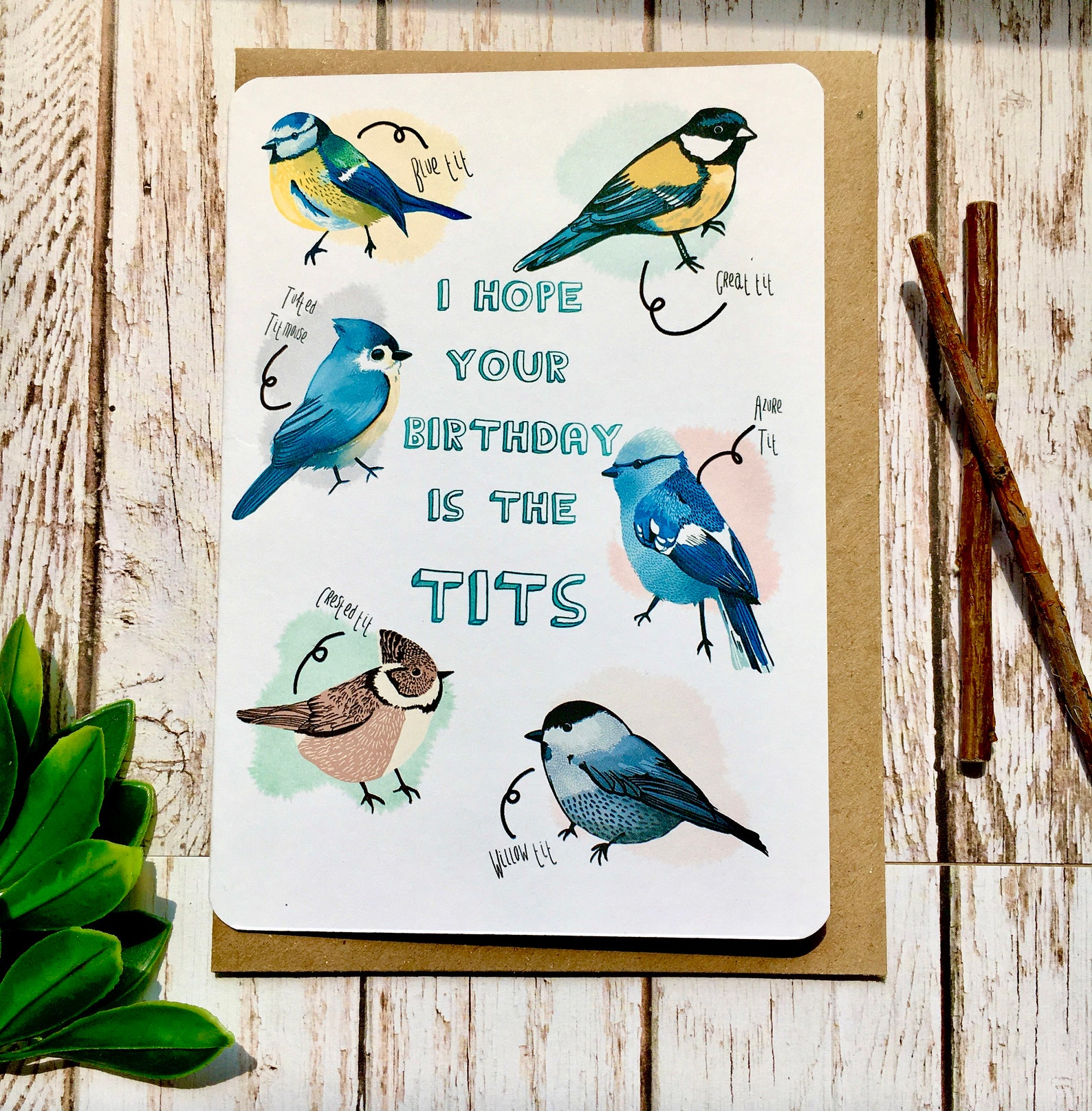 Happy Birthday Bird Card Pun Greetings Card Bird Lover - Etsy UK