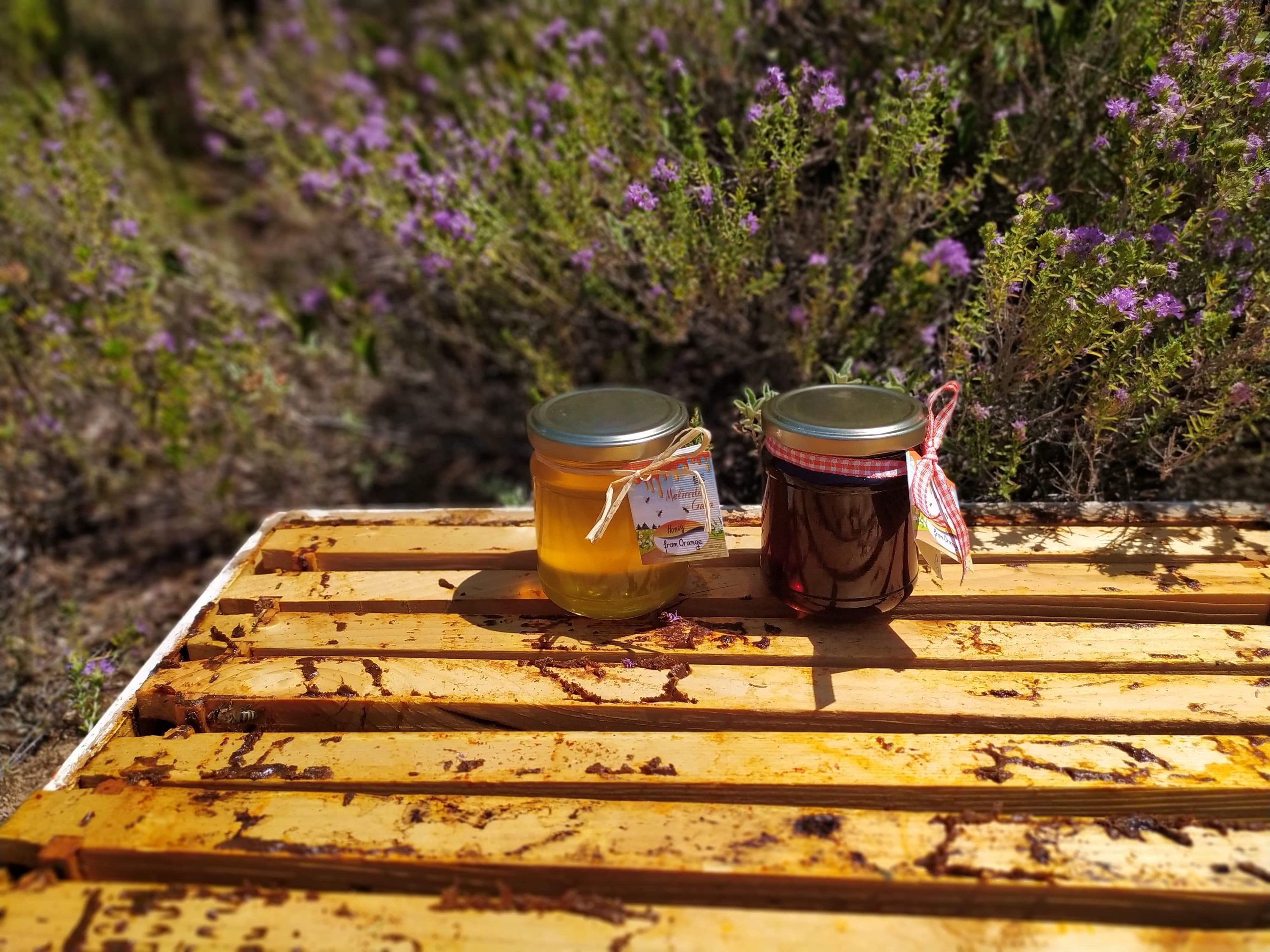 Oak Tree Greek Honey, Organic Honey, Unheated Unfiltered Raw Greece ...