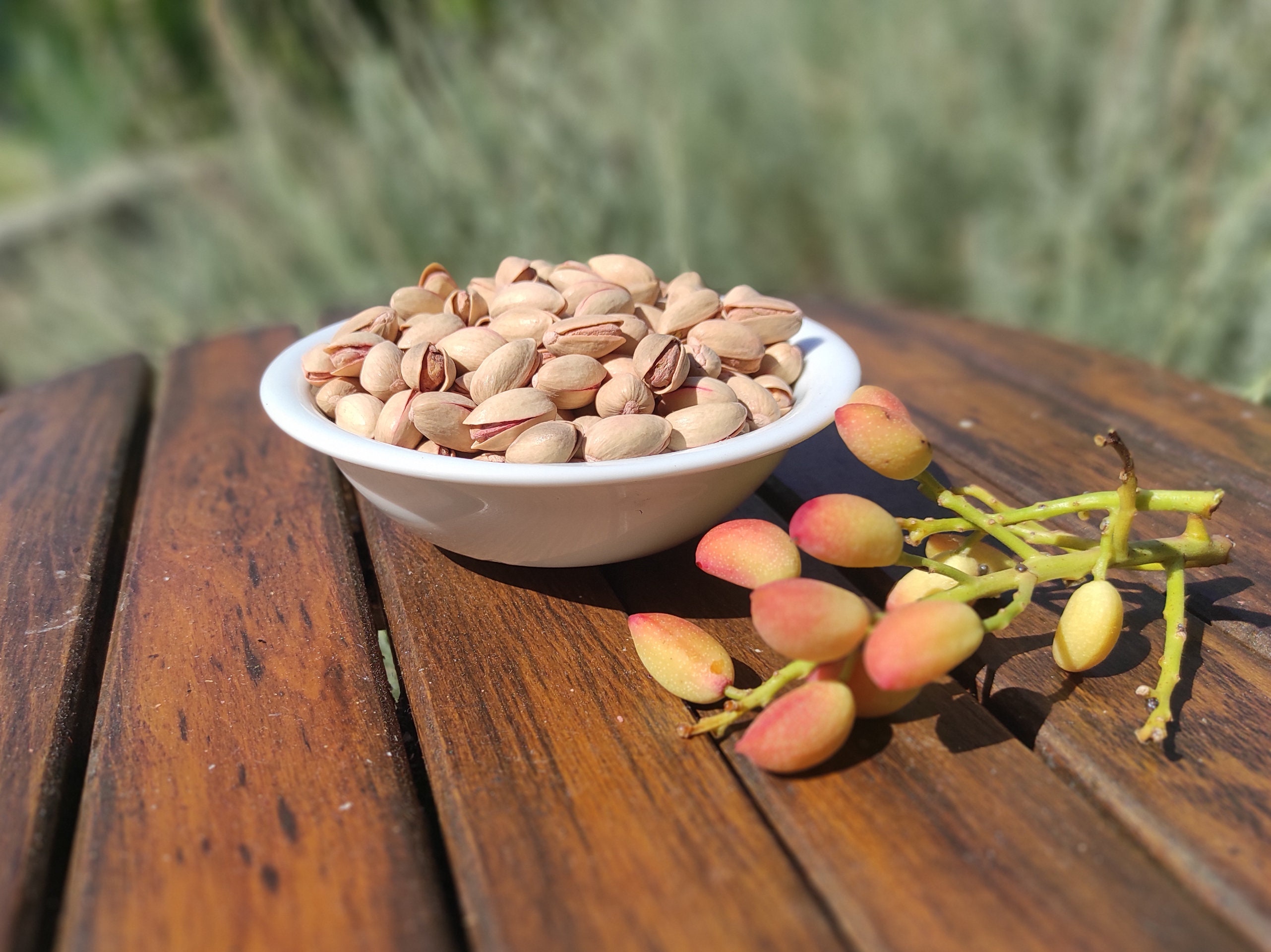 Greek Aegina Pistachios,roasted Nuts, Vegan Healthy Greek Energy Snack ...