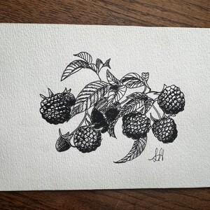 Custom Pen, and Ink Art - Etsy