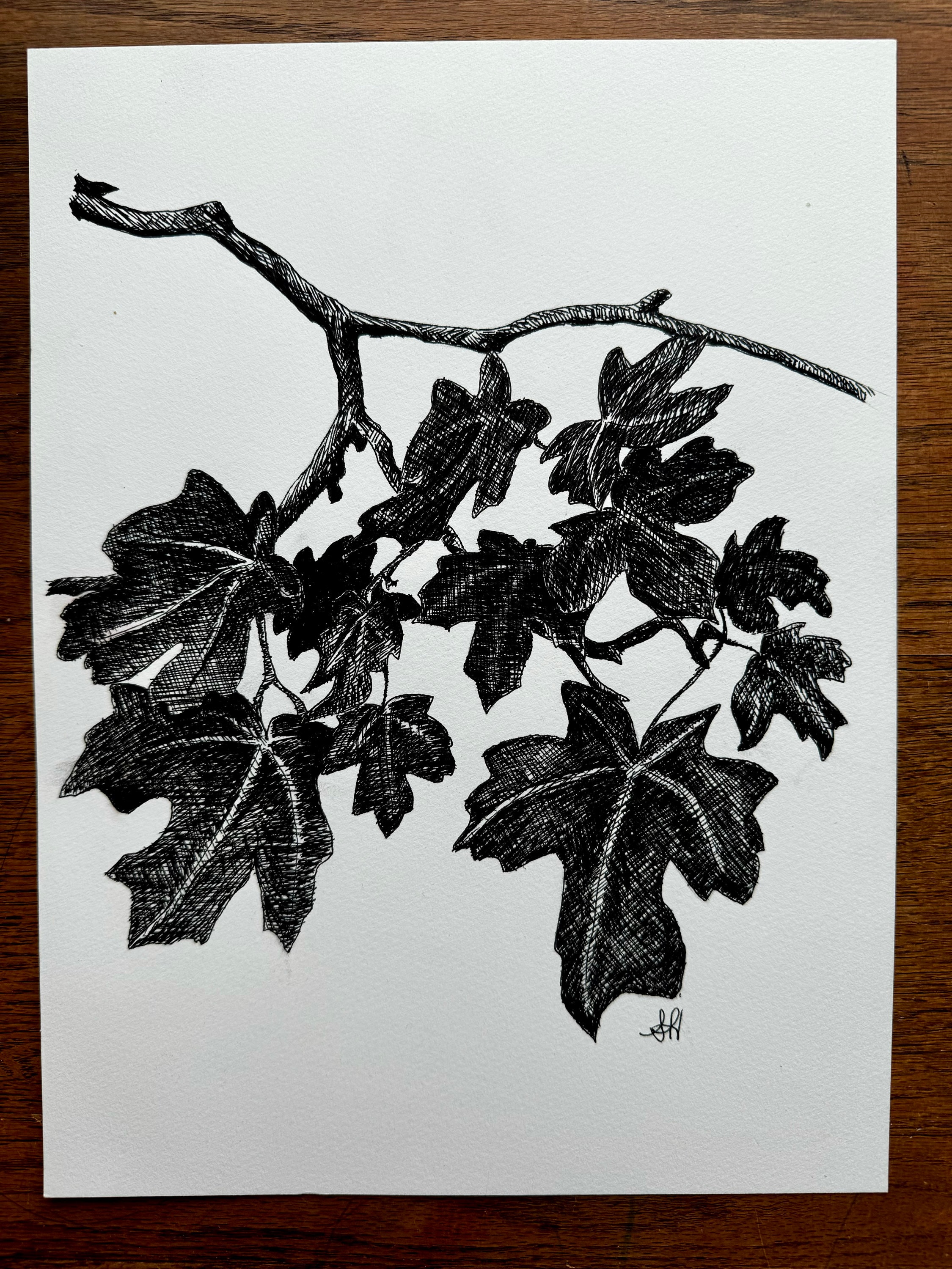 Custom Pen, and Ink Art - Etsy