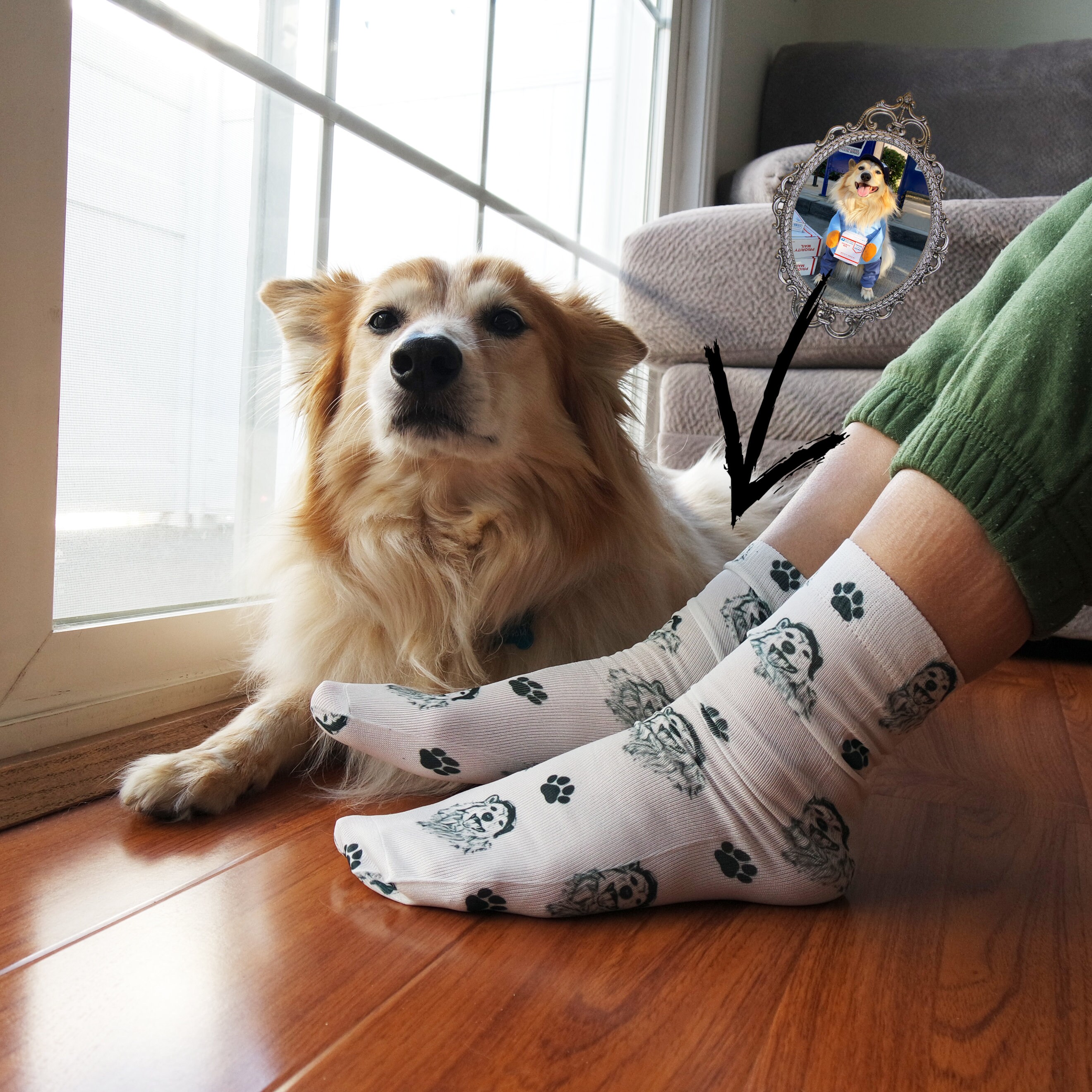 Blank Sublimation Printable Women's Crew Socks Pack of 3 | Etsy