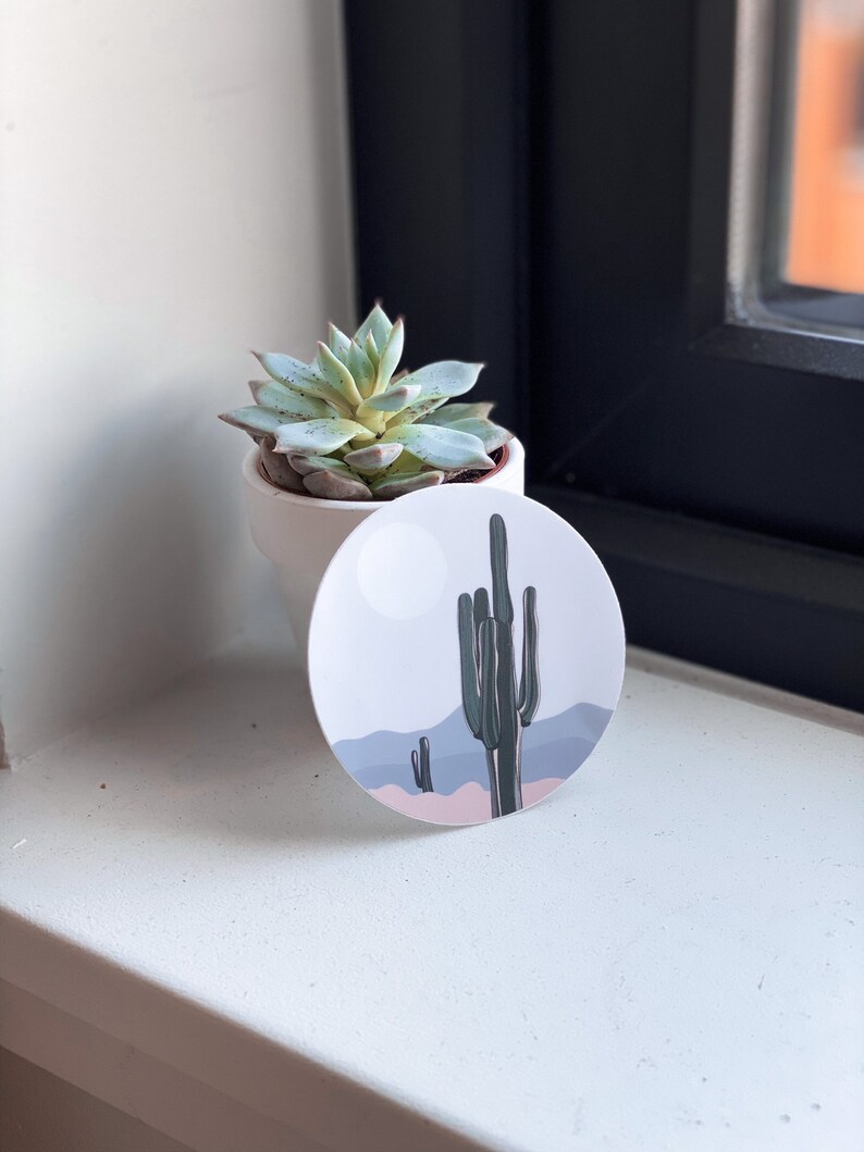 Cactus Sticker, Vinyl Sticker, Circle, Pink, Succulent - Etsy