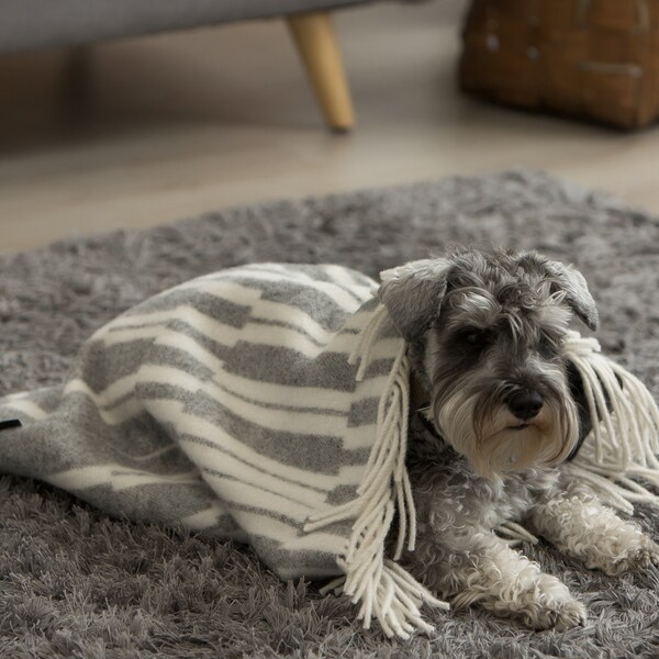 Dog Burrow Bed - Etsy
