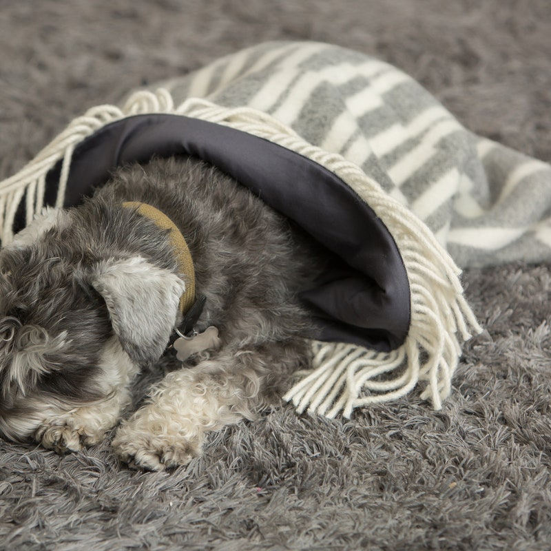 Dog Burrow Bed - Etsy
