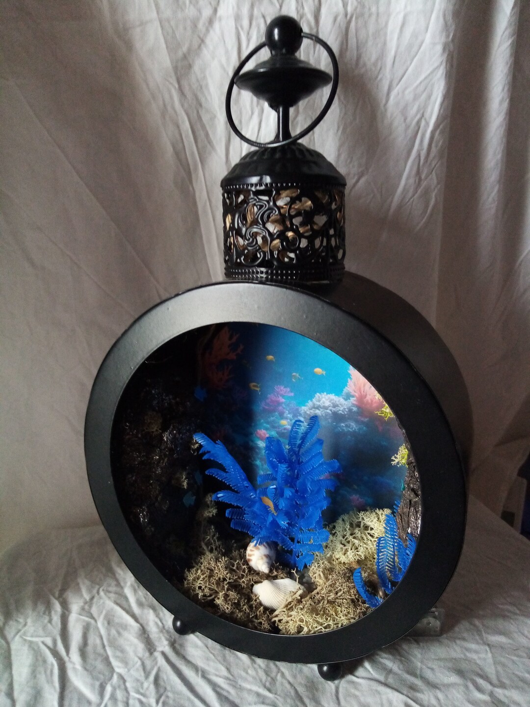 Ocean Lantern Diorama, Fish and Reefs - Etsy UK