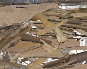 12 Piece Sycamore Tree Bark Size: Large Sold Out - Etsy