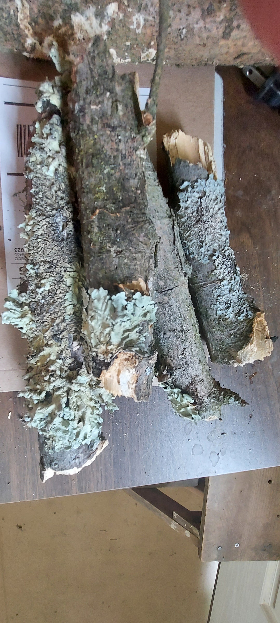 Short Stubby Sticks - Etsy