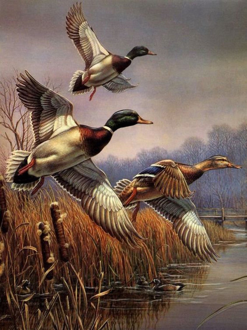 Diamond Painting Kit Wild Ducks Mosaic Diamonds Square - Etsy