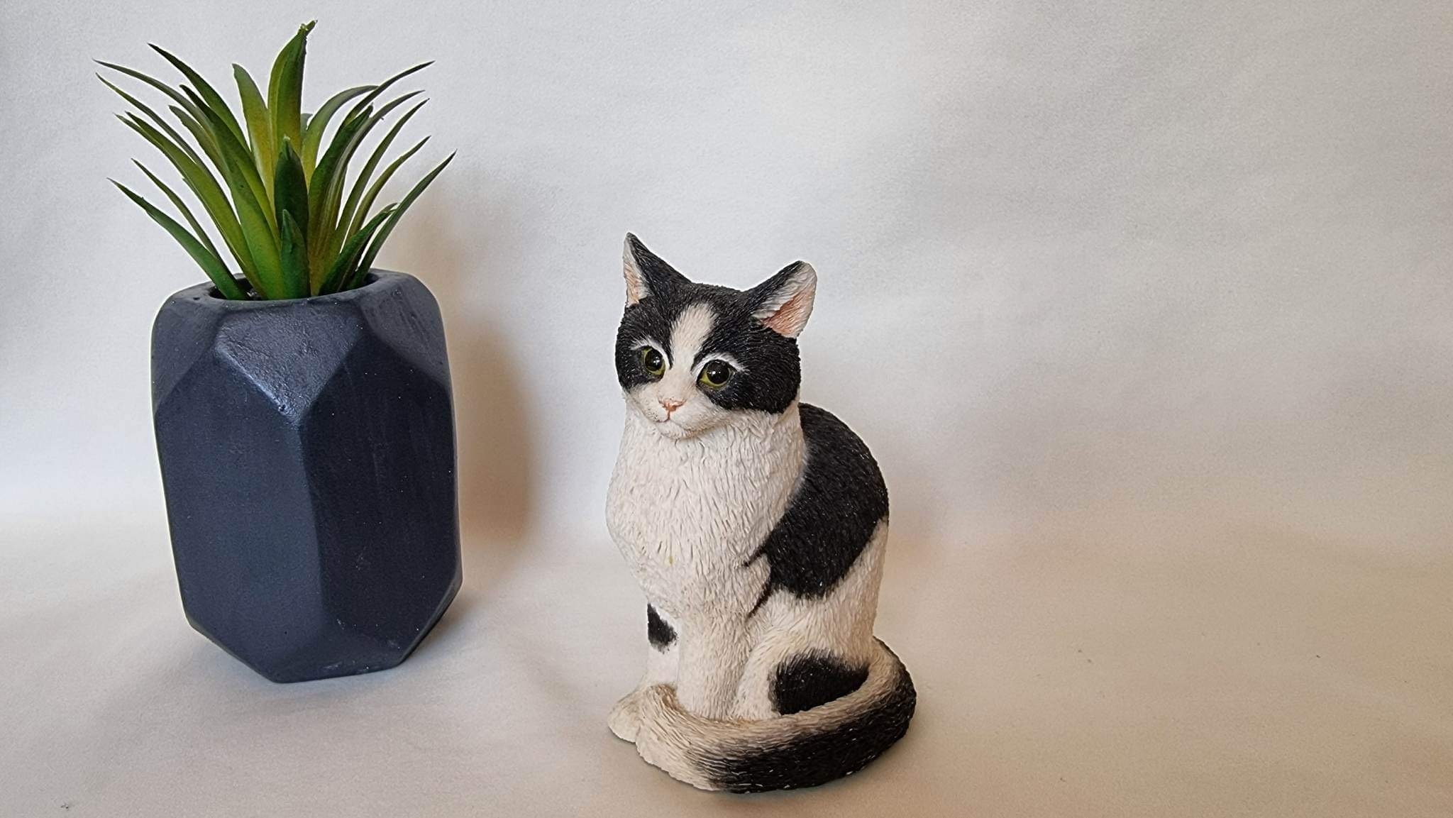 Sherratt and Simpson Cat , Sherratt and Simpson, Black and White Cats ...