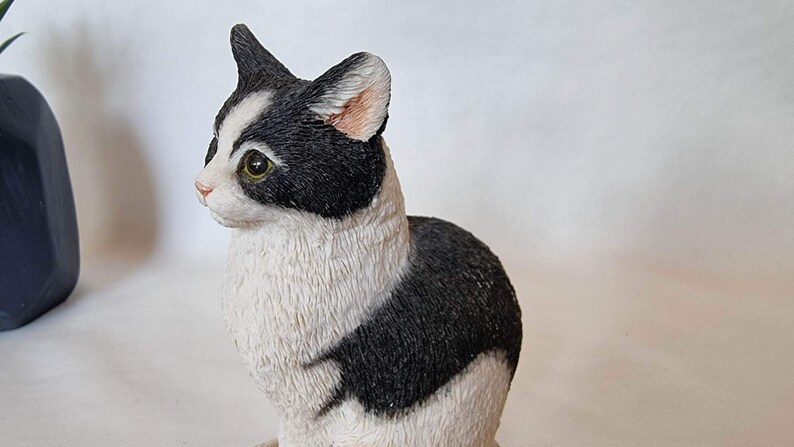 Sherratt and Simpson Cat , Sherratt and Simpson, Black and White Cats ...