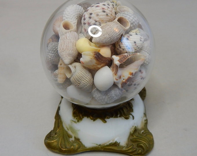 Antique Victorian Seashell Glass Dome Paperweight W/porcelain Foot ...
