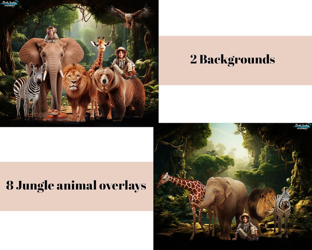 BUNDLE Jungle Background, Safari Theme, Adventure, Rainforest Animals ...