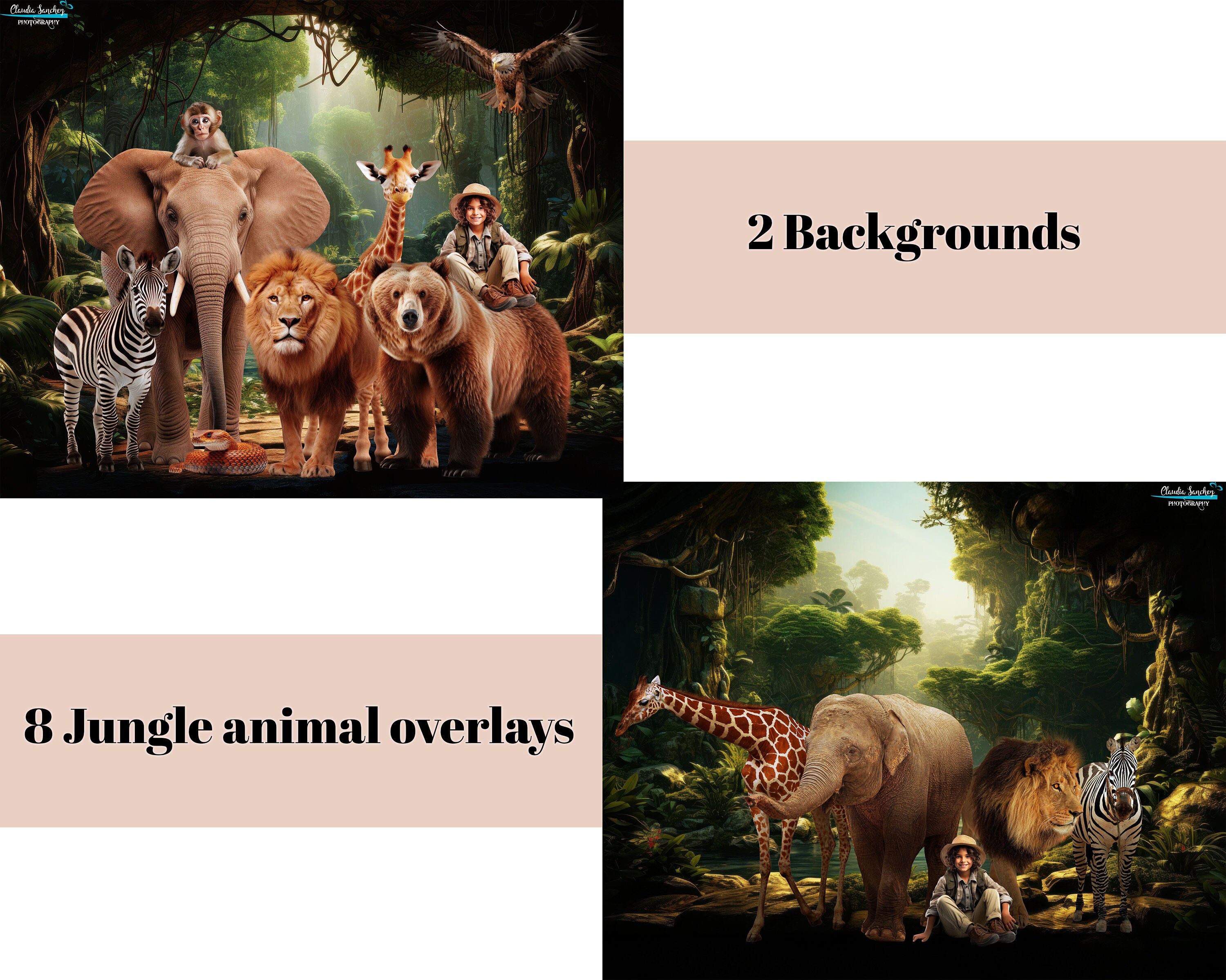 BUNDLE Jungle Background, Safari Theme, Adventure, Rainforest Animals ...
