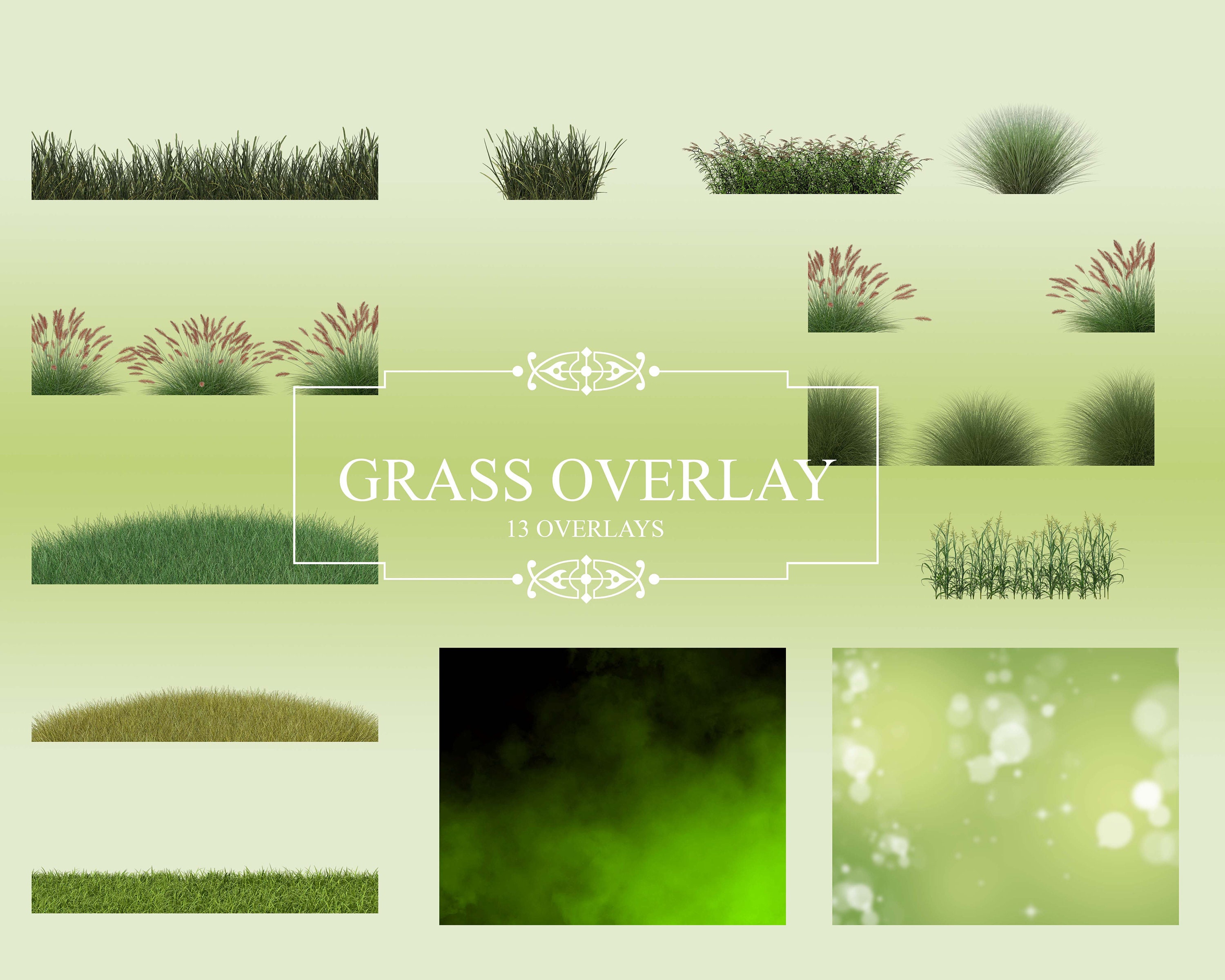Green grass photo overlays digital photo overlays PNG files | Etsy