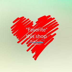 Aladdin Digital Backgrounds, Sultan Palace, Magic Carpet (JPG Files ...